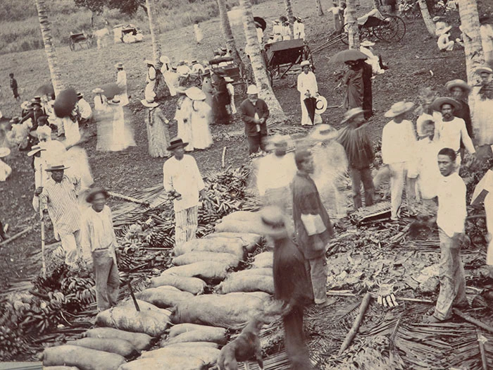 Watch: Cook Islands Tīvaevae, stitched with love | Te Papa