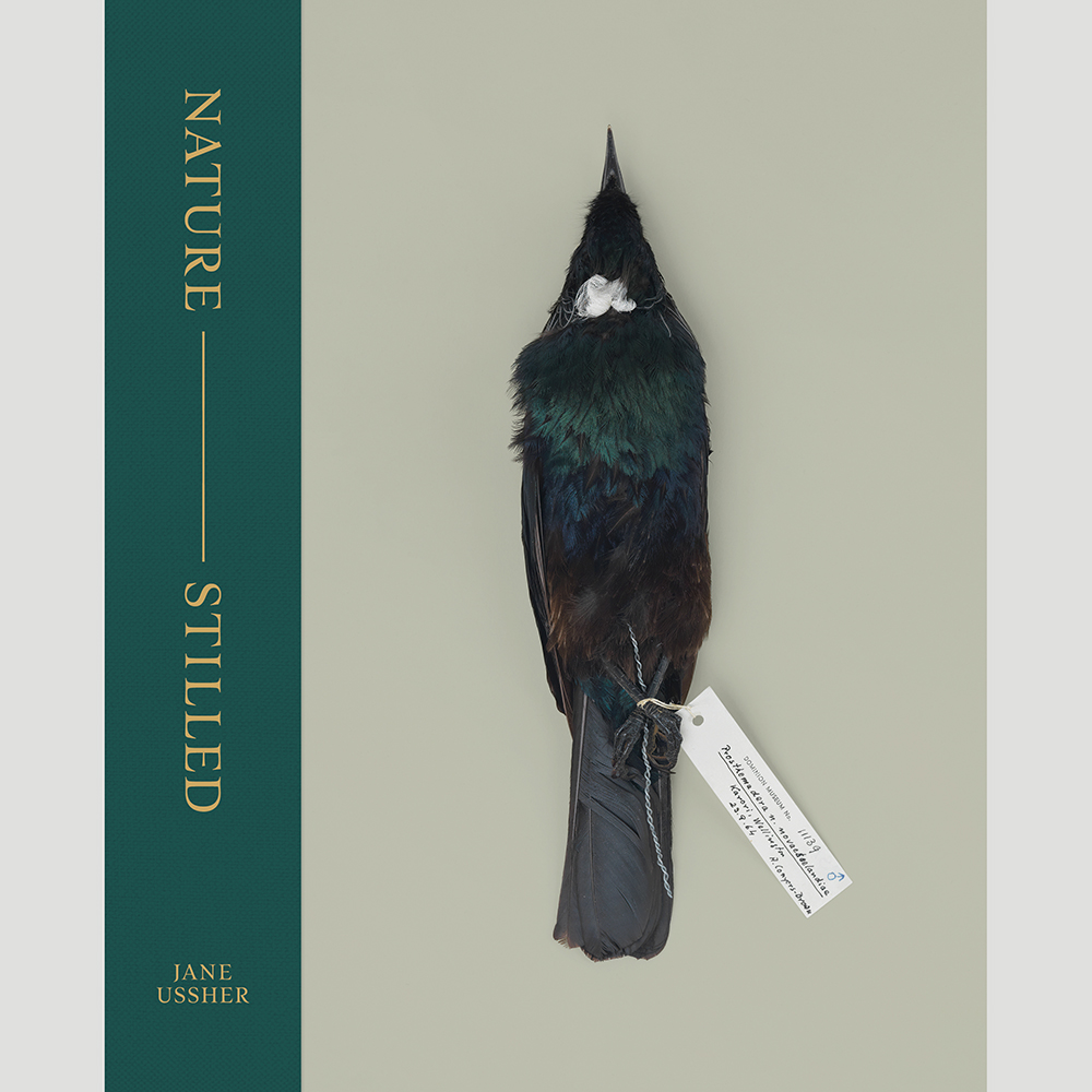 Nature — Stilled | Te Papa